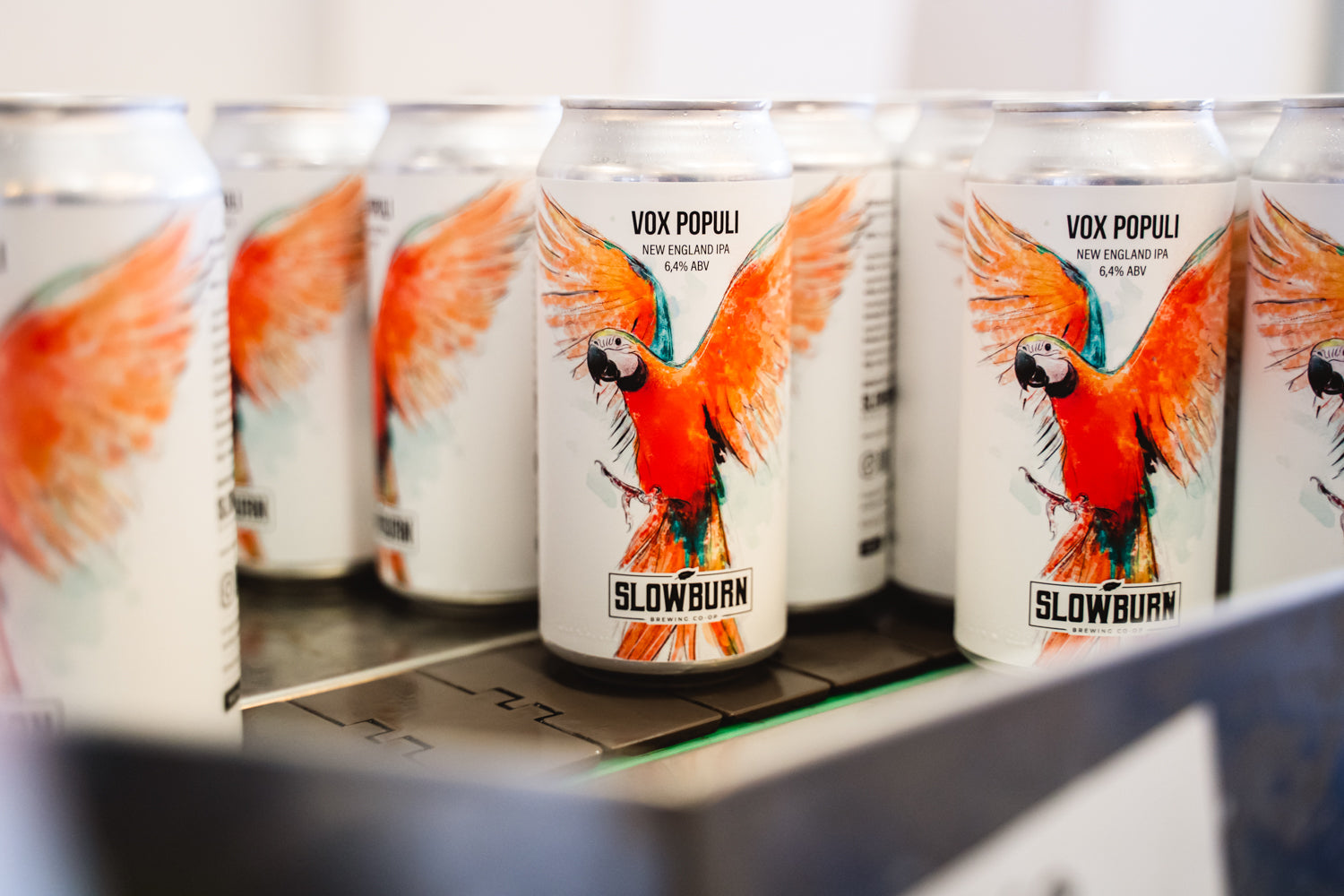 IPA – Slowburn Brewing Co-op