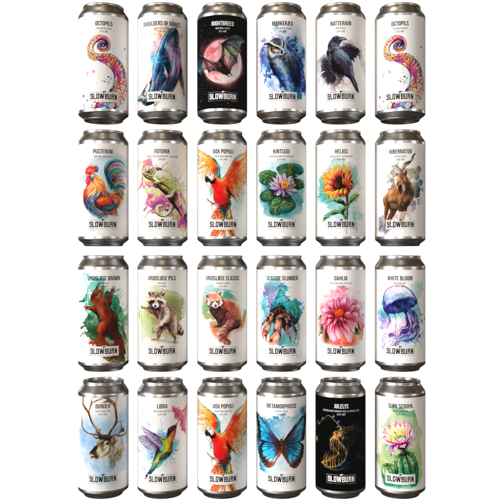 Mixed case of cans (24 cans) – Slowburn Brewing Co-op